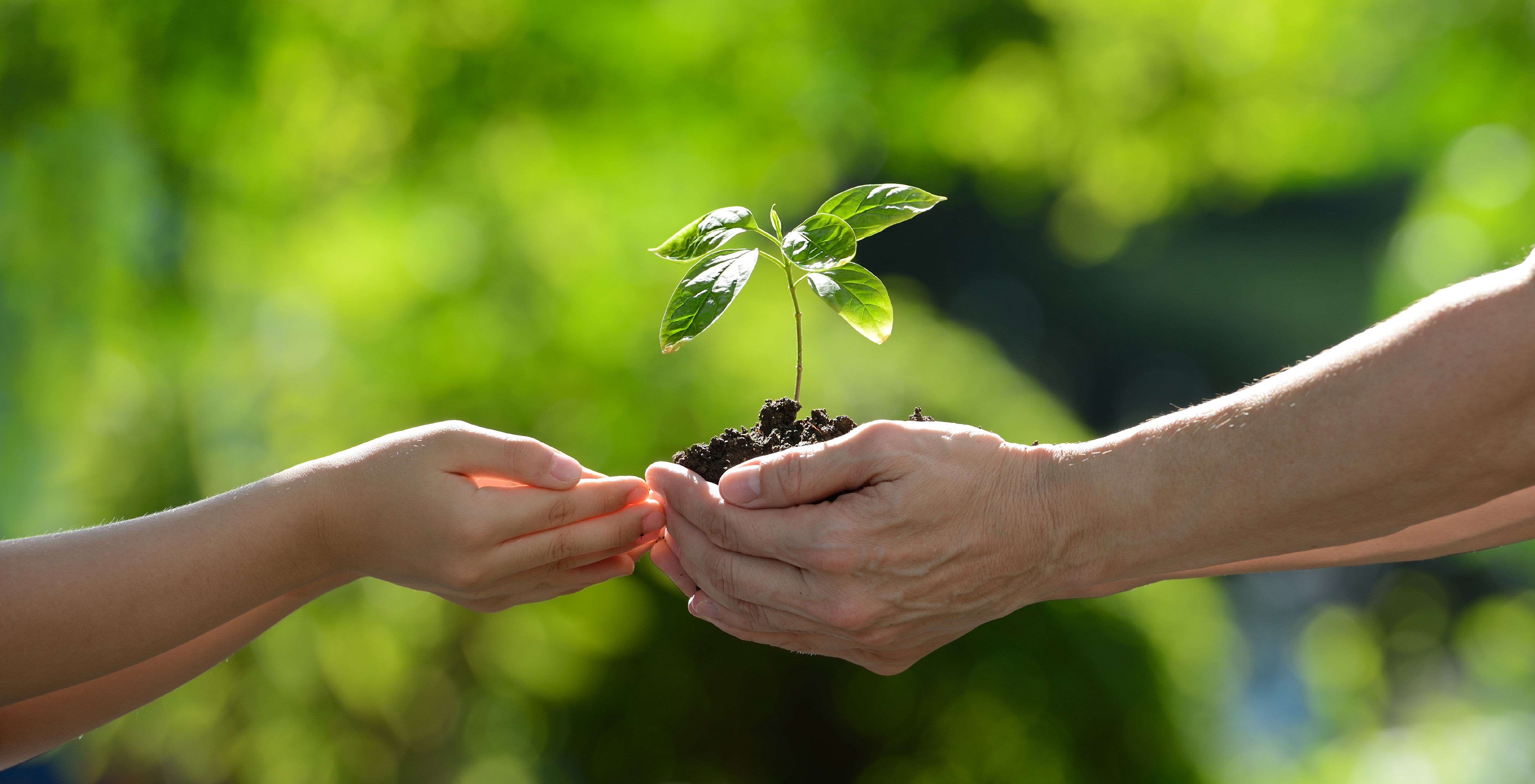 Creating a Green Footprint: ISK BEARINGS Corporate Responsibility and ...